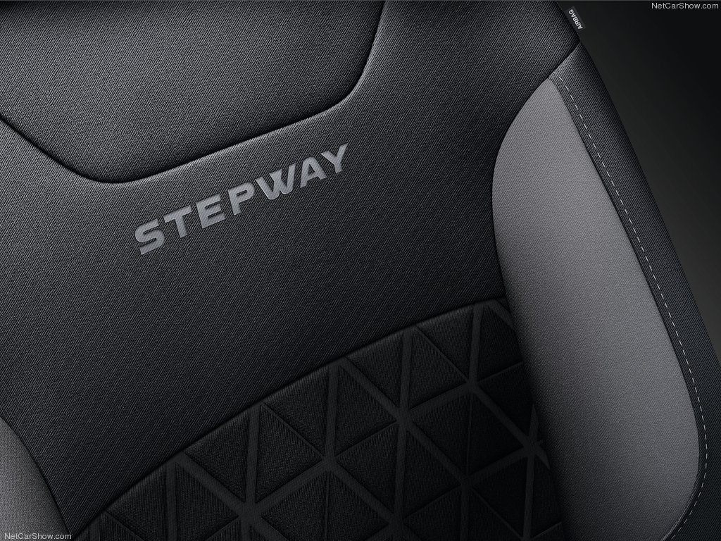 Фото нового Сандеро Степвей 2013 (22)